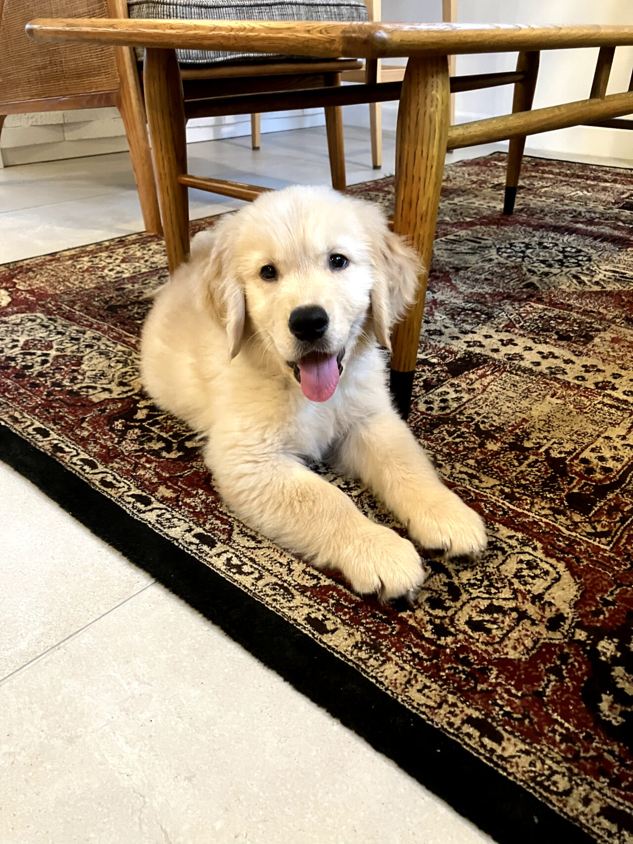 New Security guard | 東京の店舗デザイン・内装工事ならインター・フューチャー